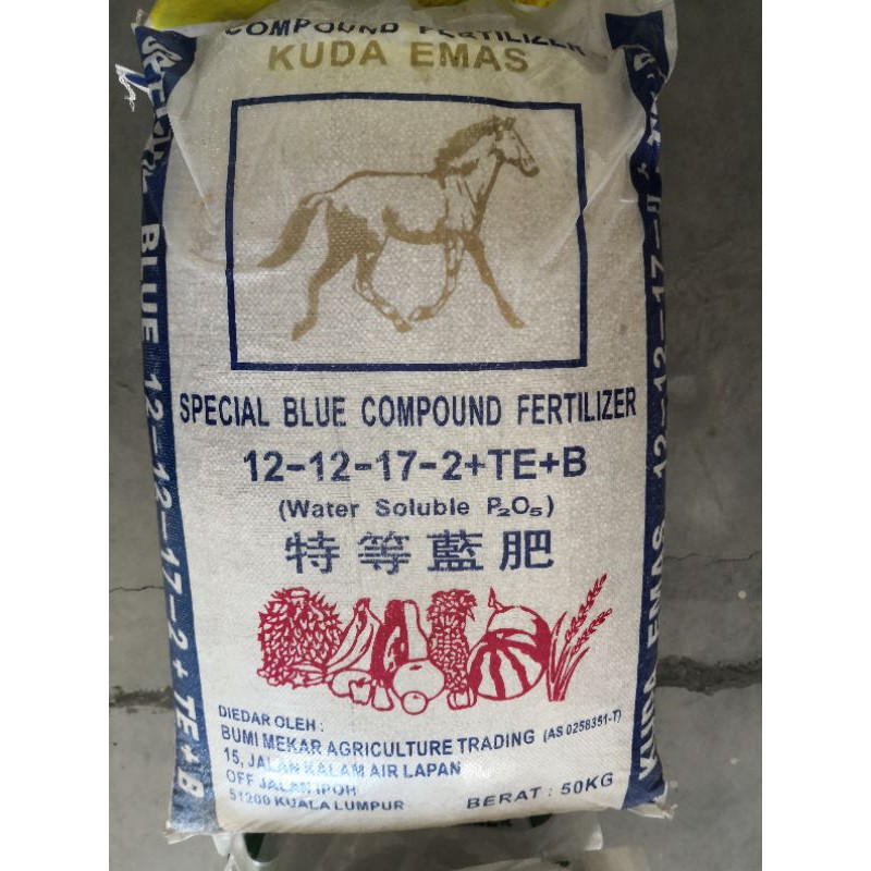 BAJA 50kg Kuda emas blue 12-12-17-2+TE+B | Shopee Malaysia