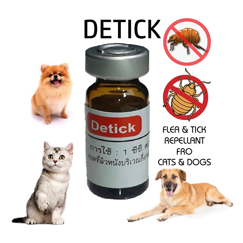 Does Dog Flea Shampoo Kill Scabies