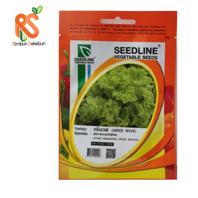 Biji Benih Thailand Salad Lettuce Grand Rapids Special Selection Seeds