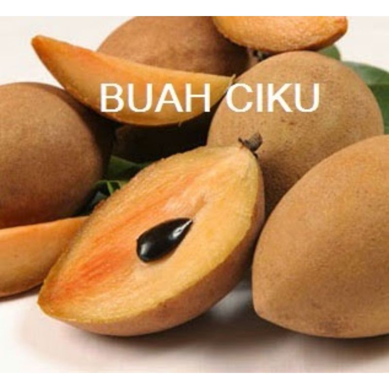 Buah Ciku/Ciku fruit 1kg+- | Shopee Malaysia