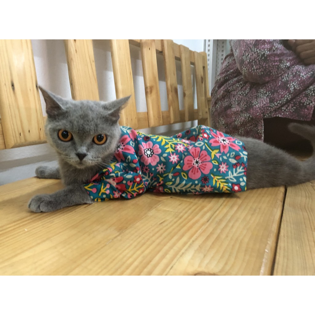 Baju Raya Kucing Sweet Green | Shopee Malaysia
