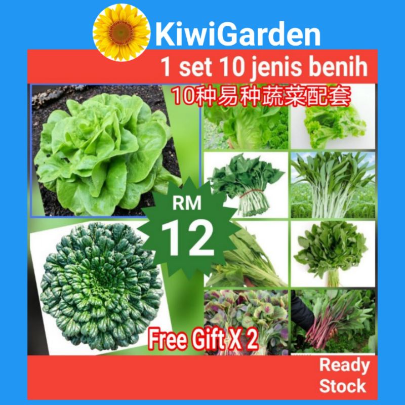 1set 10 jenis biji benih sayur dan 2 free gift | Shopee Malaysia
