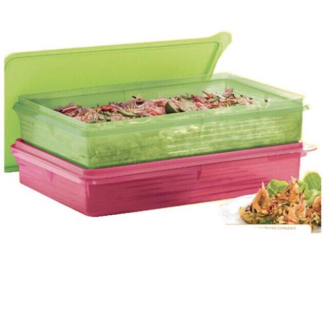 Tupperware Cold Cut Keeper (2pcs) | Shopee Malaysia