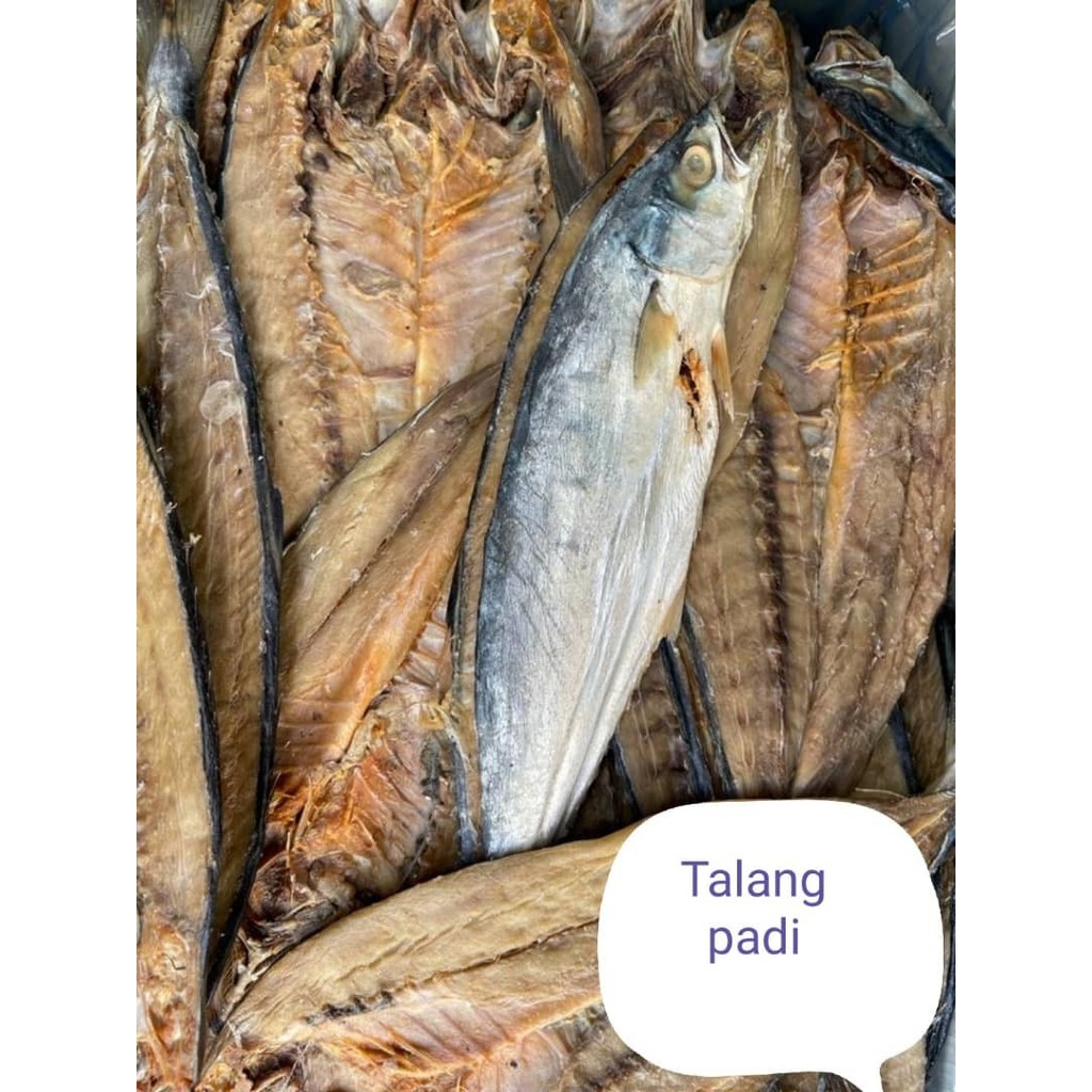 Ikan masin talang padi bersih segar | Shopee Malaysia