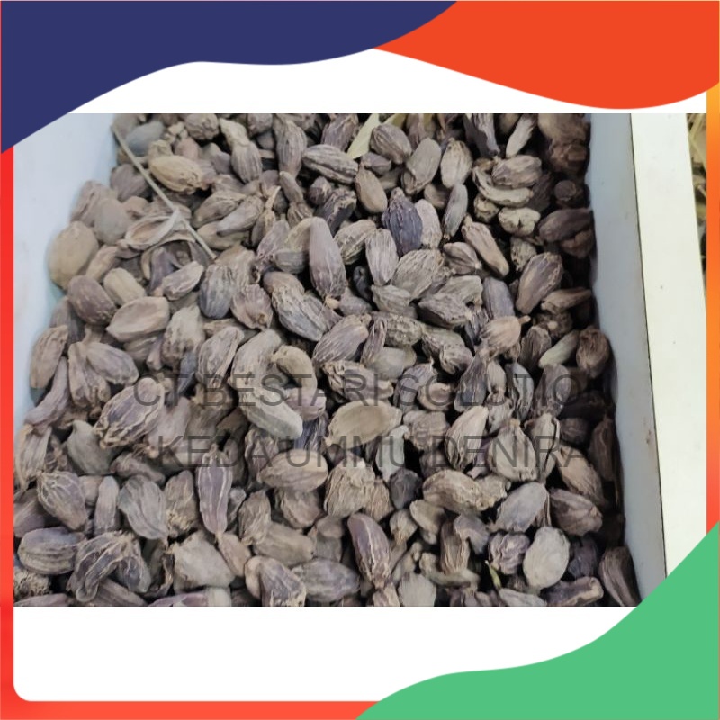 Pelaga Hutan/ Hutan Black Cardamom 20g (Buah Pelaga Hitam)/ Tsaoko ...