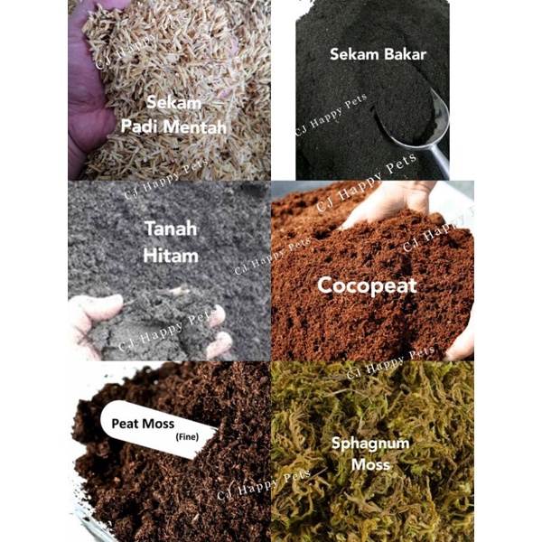 [[ReadyStock]] Media Tanaman Sekam/Tanah Hitam/Sawit/Perlite/Leca Ball ...