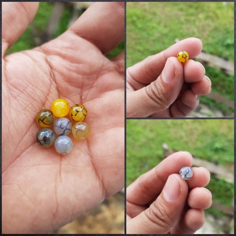 Batu Geliga Embun Dalam Ikan - CristofernBird