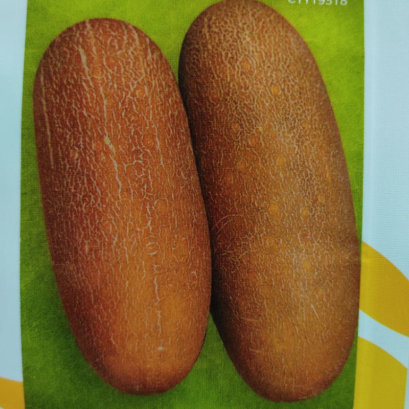 Biji Benih Timun Tua Hibrid 5pcs Hybrid Old Cucumber Seeds Vege Seed ...