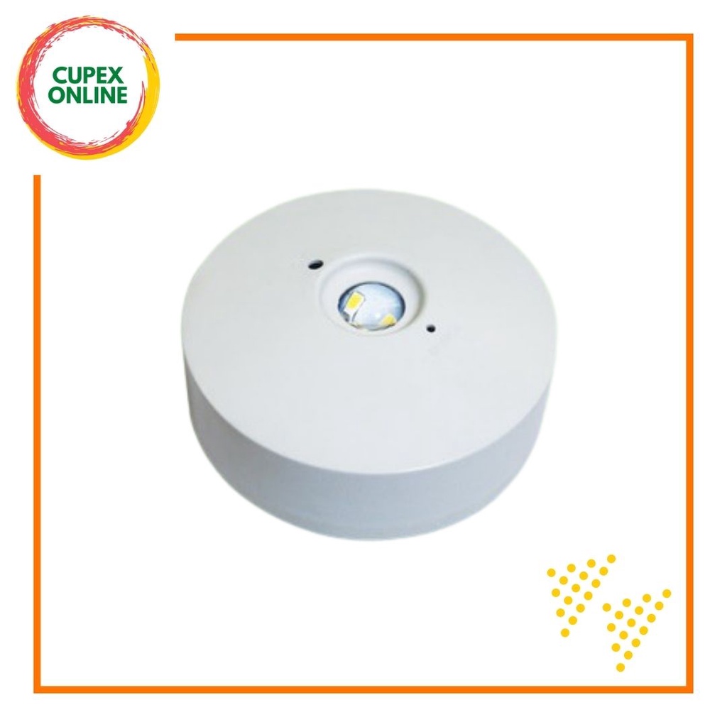 Econlite LP101 Energy Consesrving Emergency Lighting Luminaire (cupex ...