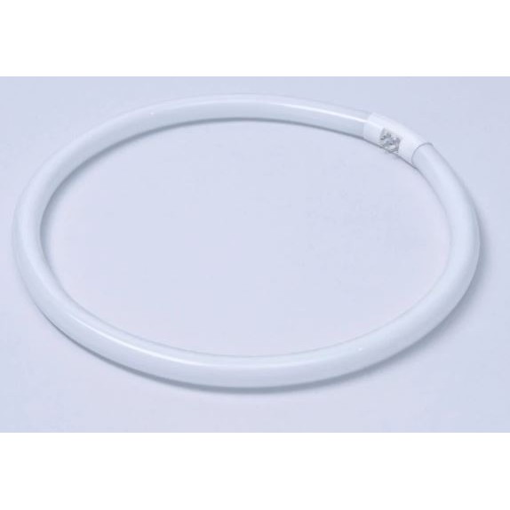 T6 Circular Light Bulb | Shelly Lighting