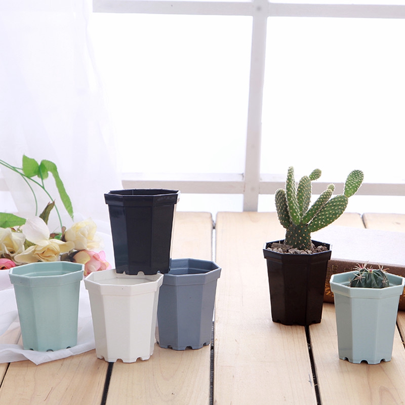 (READY STOCK) OCTAGON DESIGN COLOR MINI PLASTIC POT FOR SUCCULENT ...