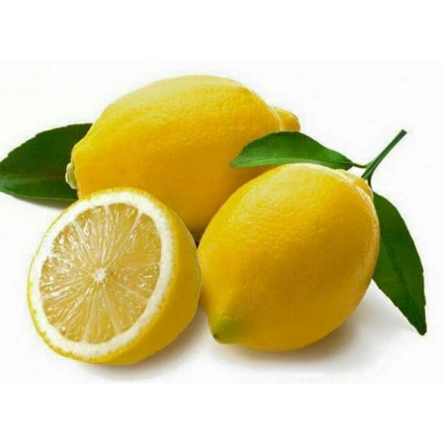 Pokok Lemon Australia Hybrid/ Hybrid Australian Lemon Tree | Shopee ...