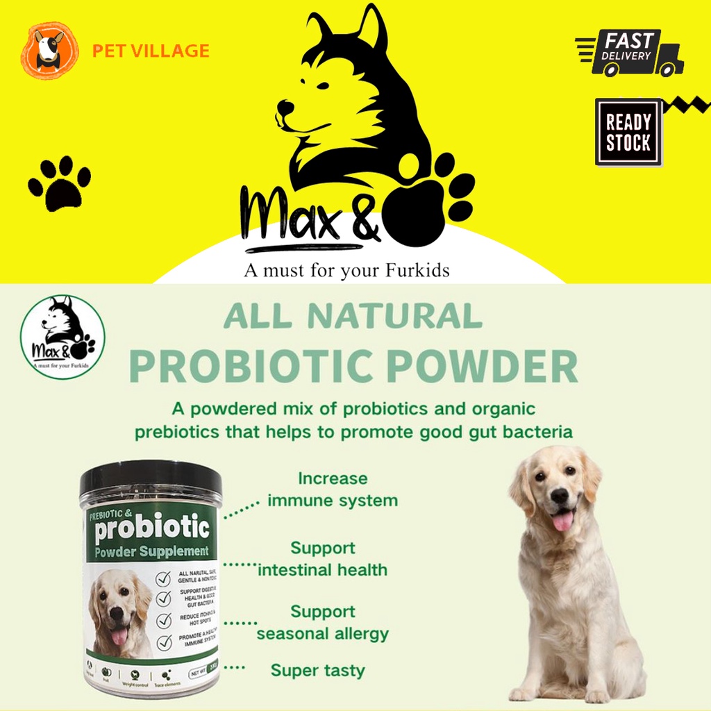 What Are Natural Probiotics For Dogs