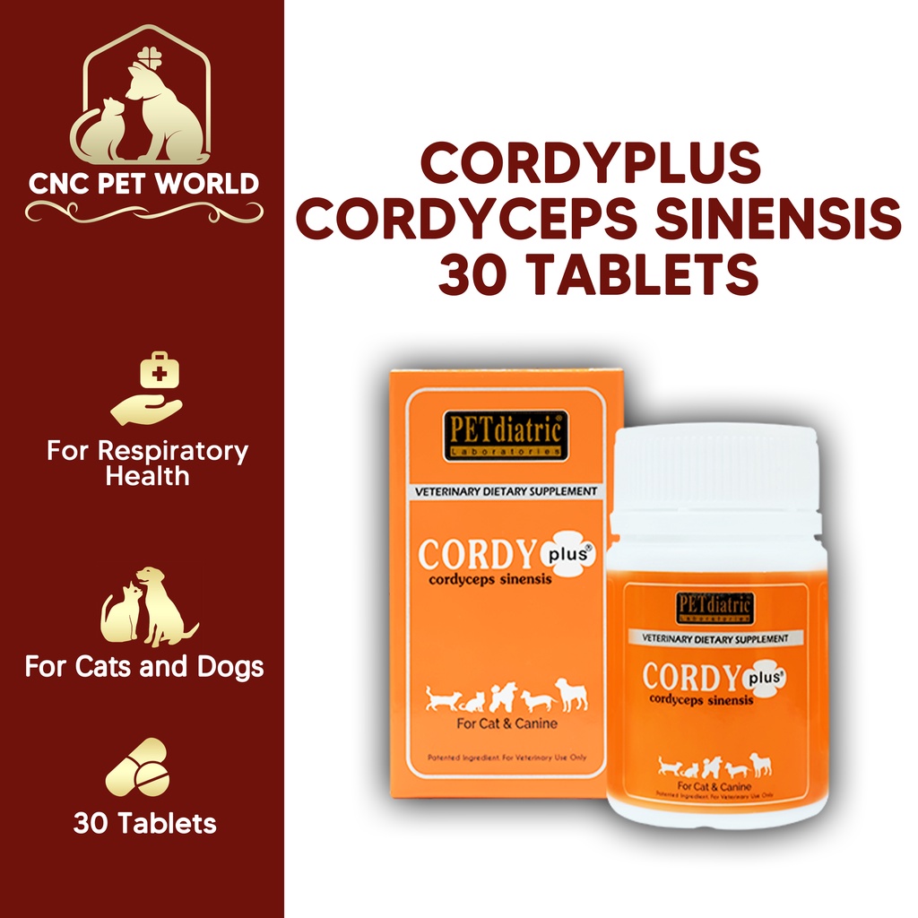 PETdiatric CORDYPLUS CORDYCEPS SINESIS 30 TABLETS | For Cats and Dogs ...