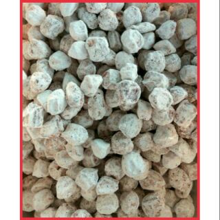 💥PROMOSI💥ASAM BOI PUTIH ASAM KO PUTIH | Shopee Malaysia