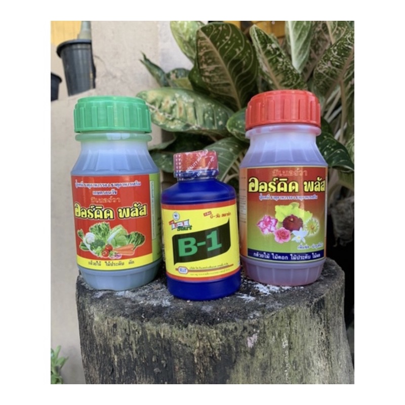 Baja set combo murah / paksa berbunga / kesuburan pokok / B1 penggalak ...