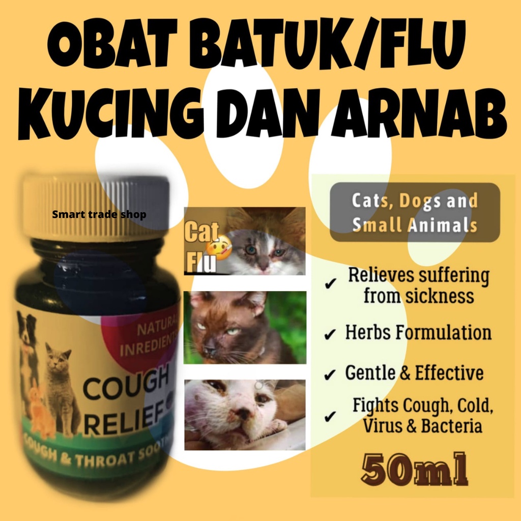 All in 1 Ubat Selsema Demam Batuk Parvo Sakit Mata Ulser Kucing dan ...