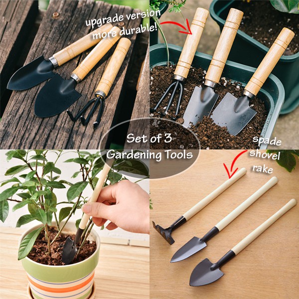 Set Of 3 Mini Garden Plant Tools Gardening Tool (Spade,Shovel,Rake ...