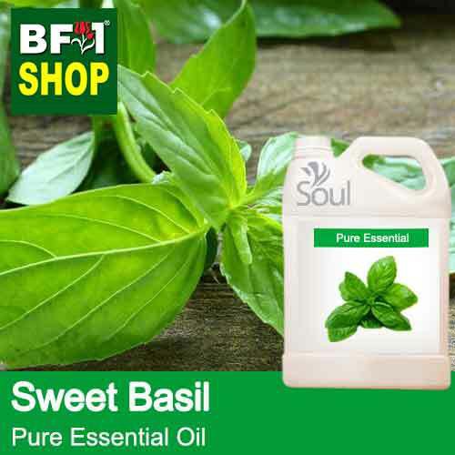 Pure Essential Oil (EO) - Basil - Sweet Basil ( Giant Basil ) Essential ...