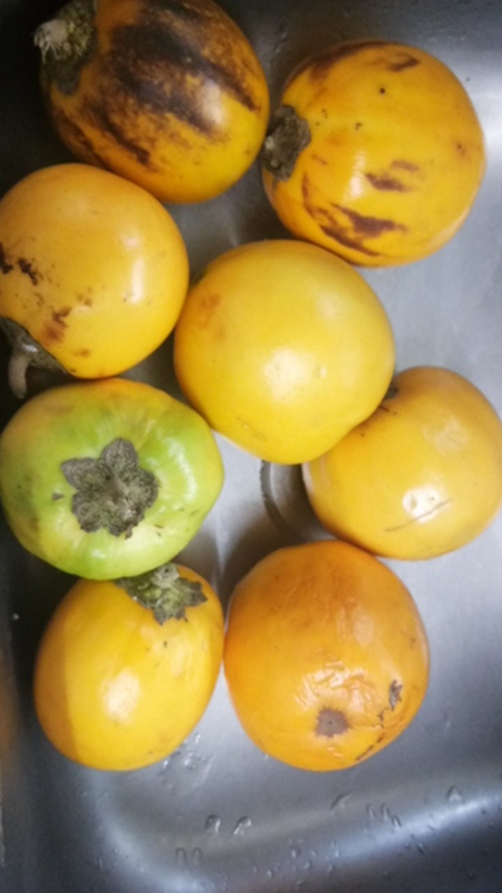 Sarawak Terung Asam - Big & Fresh | Shopee Malaysia