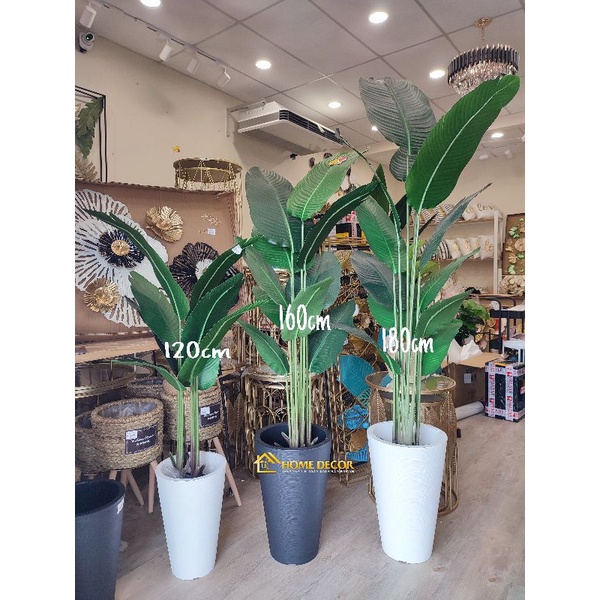 𝗥𝗲𝗮𝗱𝘆 𝗦𝘁𝗼𝗰𝗸 𝗣𝗮𝘀𝘂 𝗣𝗹𝗮𝘀𝘁𝗶𝗸 𝗧𝗶𝗻𝗴𝗴𝗶 𝗨𝗻𝘁𝘂𝗸 𝗦𝗸𝘆𝗯𝗶𝗿𝗱/𝗕𝗮𝗻𝗮𝗻𝗮 𝘁𝗿𝗲𝗲 | Shopee Malaysia