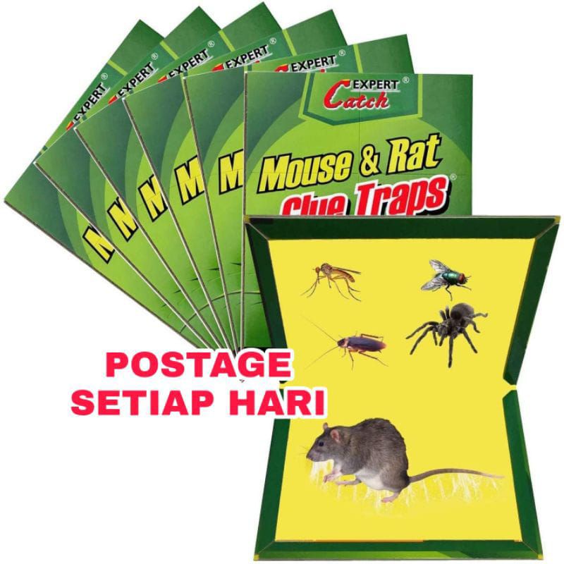 Perangkap tikus,lalat,lipas,cicak | sticky glue board traps | Shopee ...