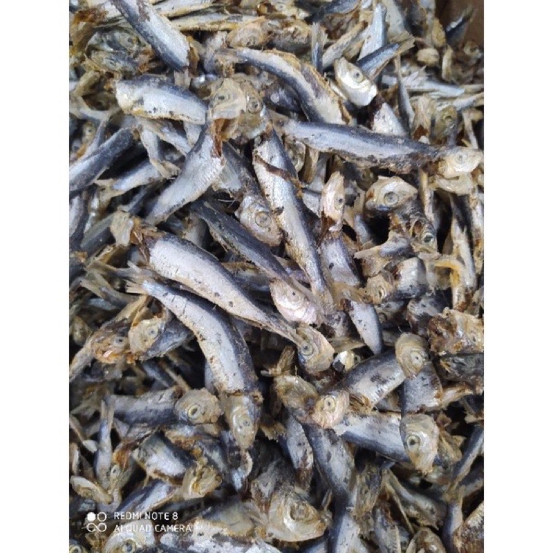 IKAN MASIN IKAN KERING TAMBAN KECIK/ TAMBAN HALUS | Shopee Malaysia