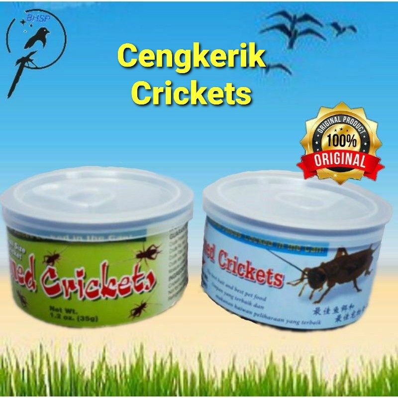 Cengkerik Dalam Tin / Canned Crickets | Shopee Malaysia