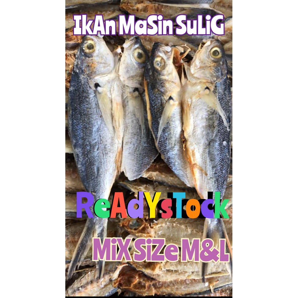 (READYSTOK) Ikan MASIN SULIG SABAH | Shopee Malaysia