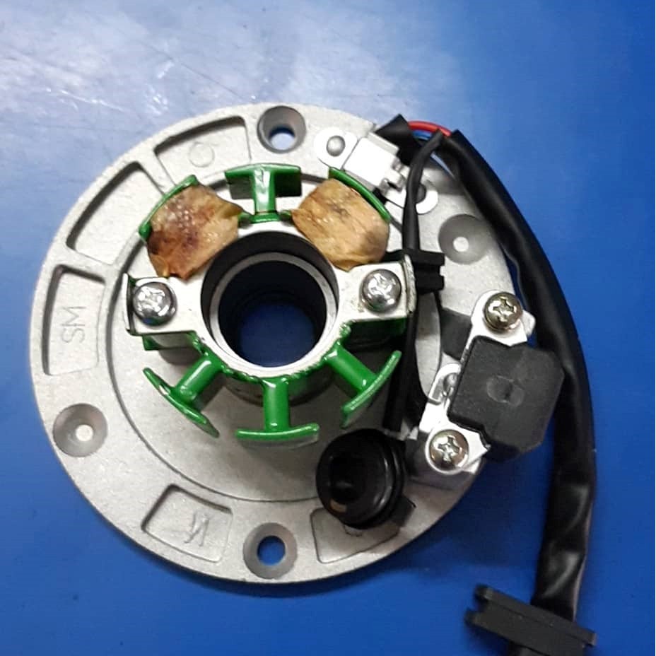 Demak D Force 160 ( Dforce 160 ) - Magneto Coil ( Field Coil ) [OE ...