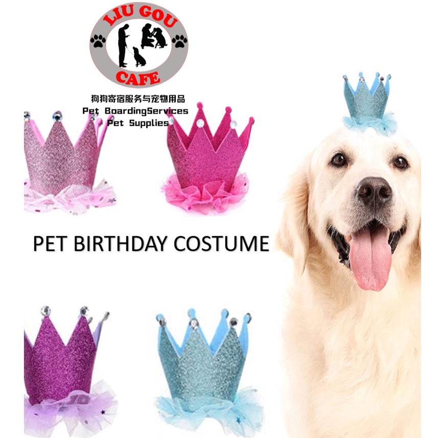 Pet Crown Cat Dog Cute Hat for Pets Party Photo Props Birthday ...