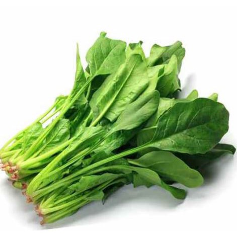 biji benih bayam hijau bulat 100SEED NON GMO/biji benih sayur/vegetable ...