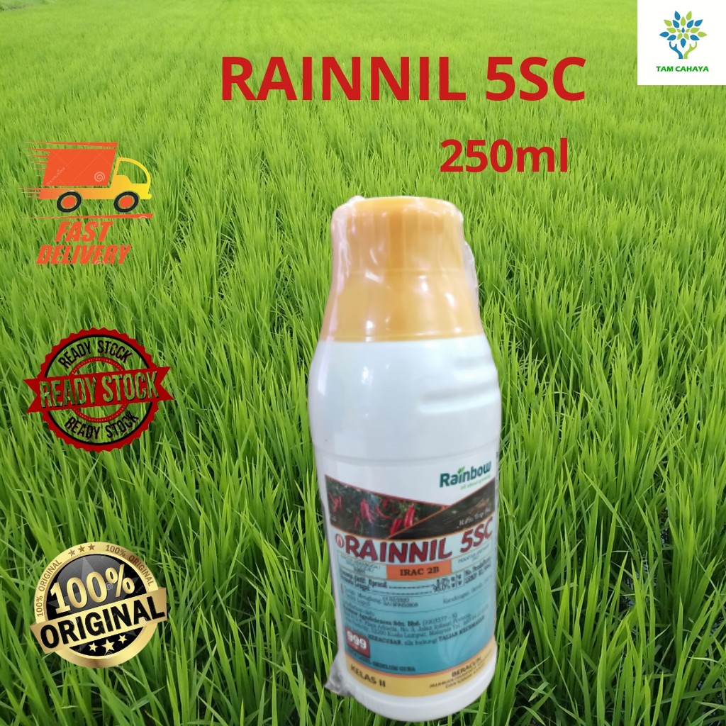 250ml RAINNIL 5SC (Sama Dengan Regent Fipest Chalcid ) FIpronil 5% ...