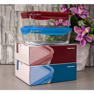 Tupperware PremiaGlass Rectangular 1L ( Ready Stock) | Shopee Malaysia