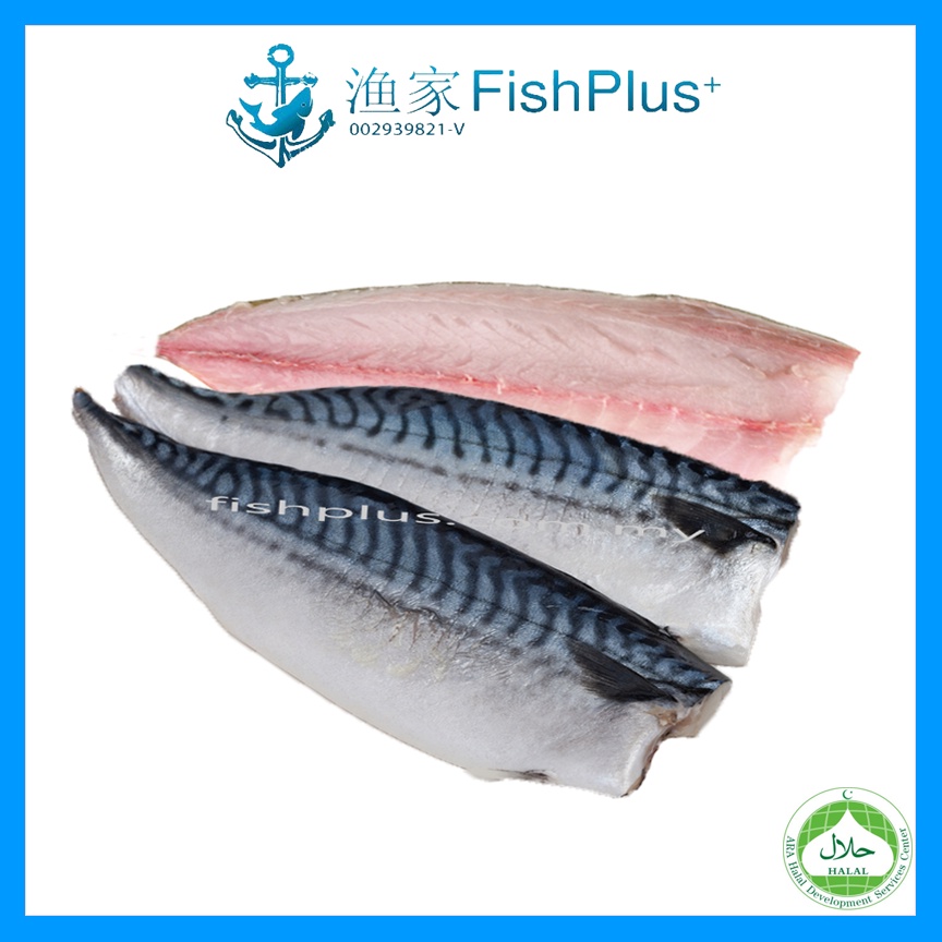 Premium Blue Saba Mackerel Fillet / Ikan Saba 500g+/- 鯖魚片 - FishPlus ...