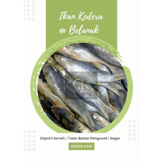 IKAN KEDERA (BELANAK) | Shopee Malaysia