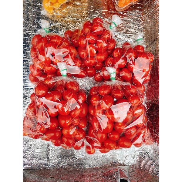 cherry tomato Cameron highlands | Shopee Malaysia