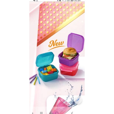 Tupperware Mini Signature Line 450ml | Shopee Malaysia