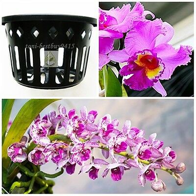 Pasu Orkid 6 Inci Plastik (5 Pcs) / Black Plastic Orchid Pot 6 inch ...