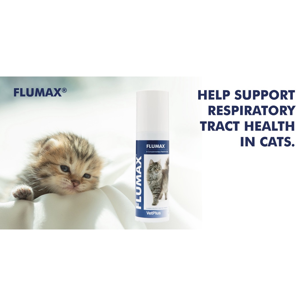 VetPlus Flumax Supplement Cat Flu Prevention Respiratory Tract Care multivitamin vitamin kucing ...