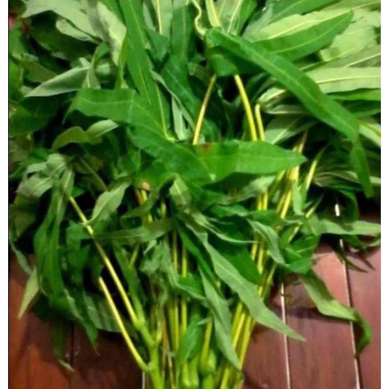 Pucuk Ubi Kayu Mentega Lemakubi Kayu Kuning Lemak Shopee Malaysia
