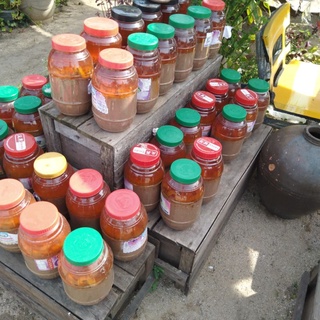 [Ready Stock] Budu Tempayan/ Budu Tempayan Tumpat/Budu Kampung Asli ...