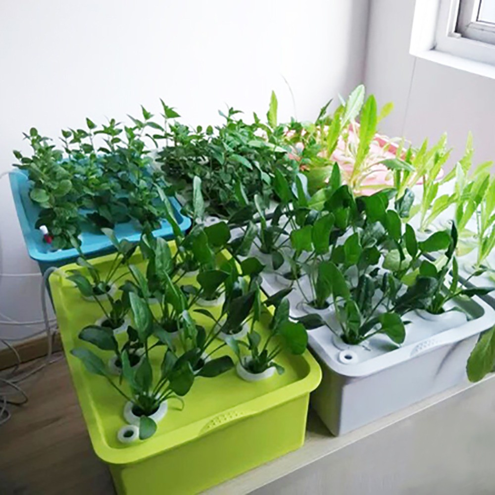 1 Set 6 Holes Hydroponic Kit Plant Site Indoor Potted Nursery Pot 220V ...