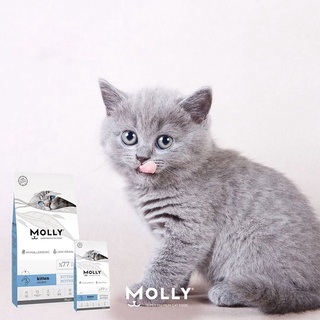Molly Super Premium Cat Food For Adult & Kitten 2kg / Makanan Kucing ...