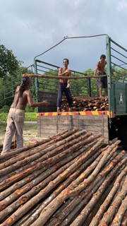 Kayu Bakau | Shopee Malaysia