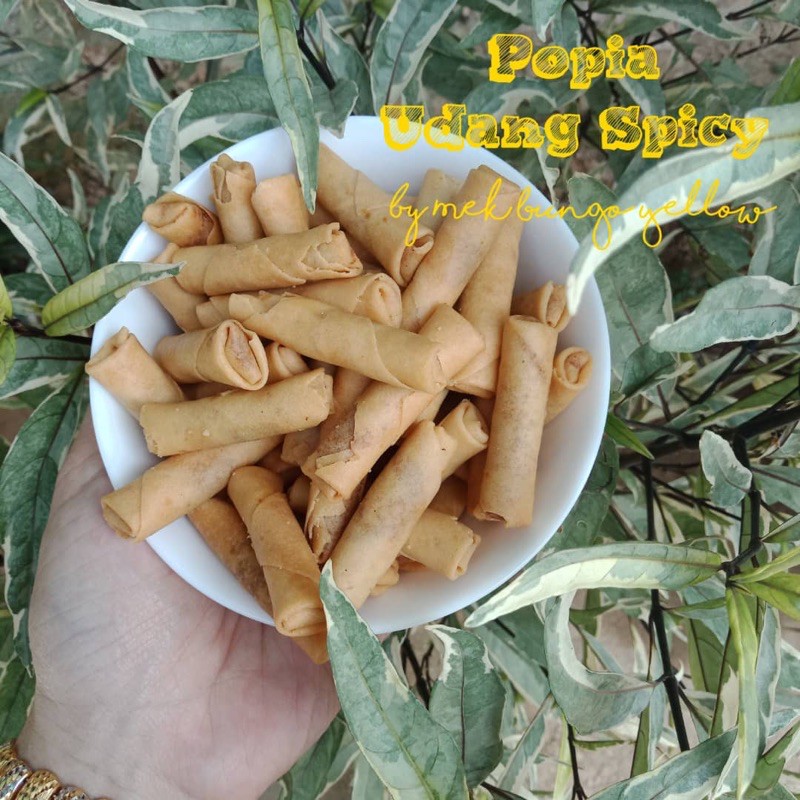 Ready Stock Mini Popia Udang - 500g | Shopee Malaysia
