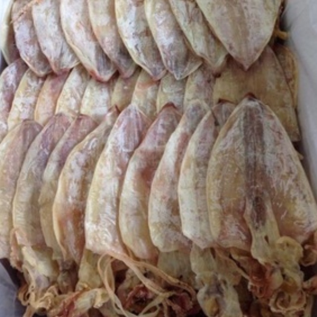 Sotong kering LANGAWI gred AAA | Shopee Malaysia