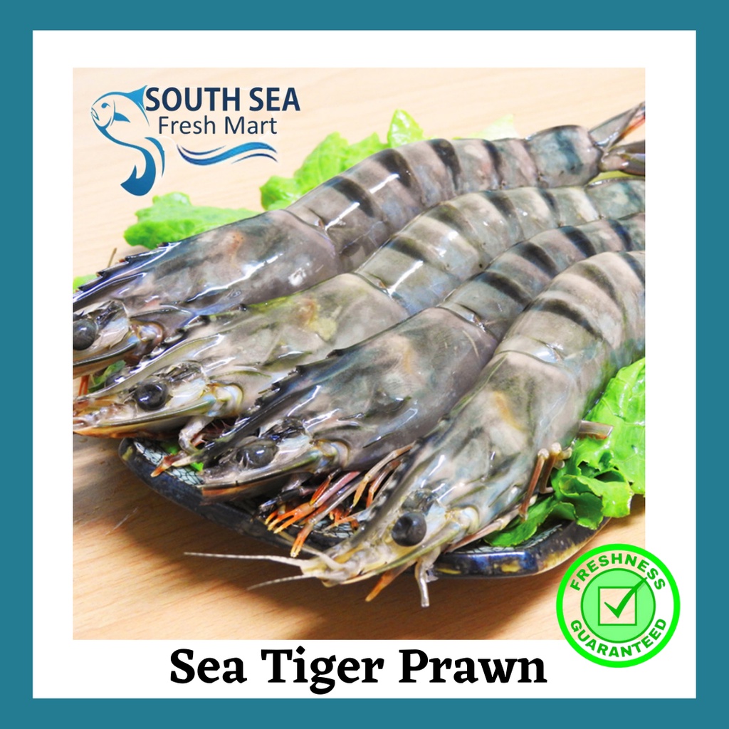 Sea Tiger Prawn (500g) | (XL, 2XL) | Shopee Malaysia