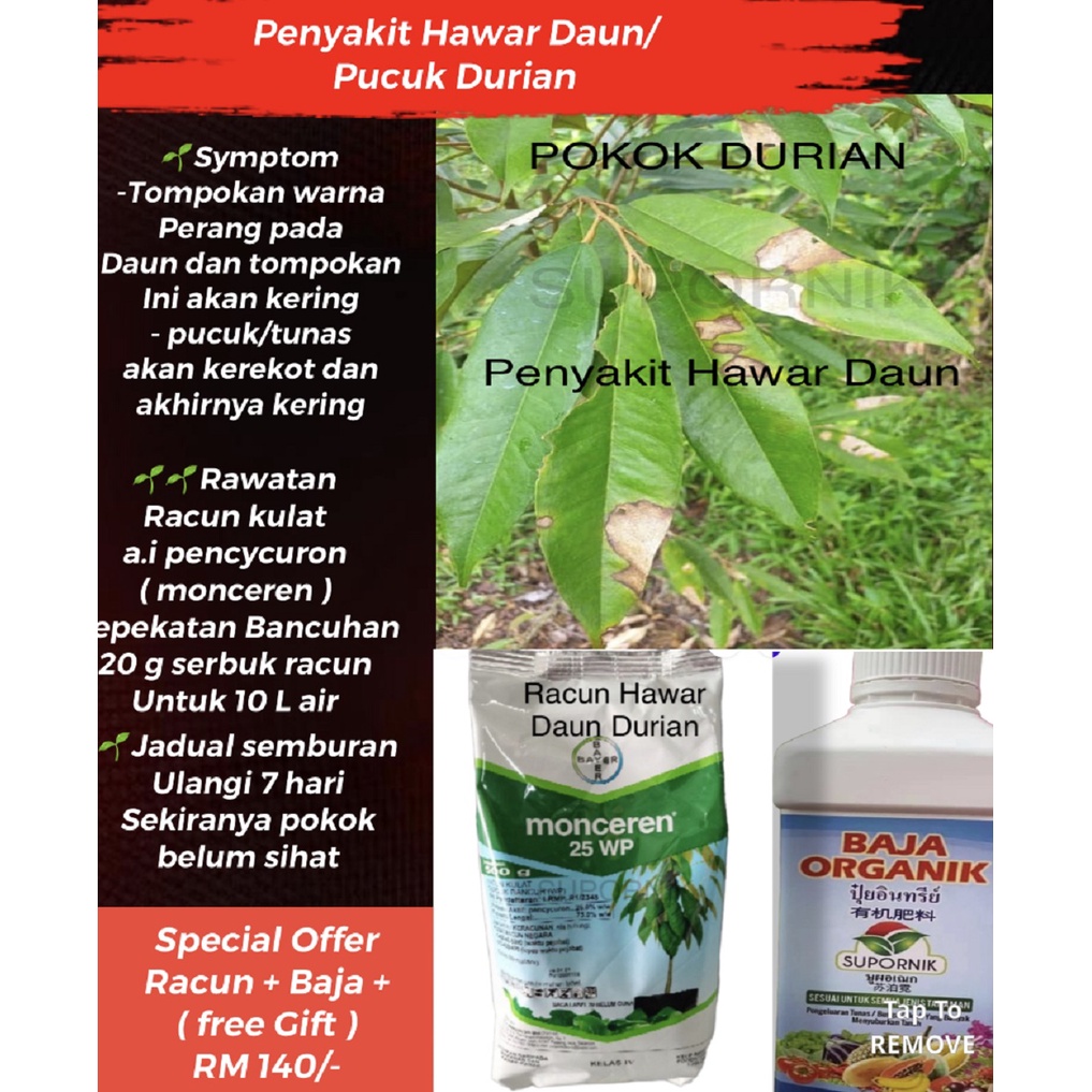 RACUN PENYAKIT HAWAR DAUN POKOK DURIAN - SET RACUN + BAJA+ FREE GIFT ...