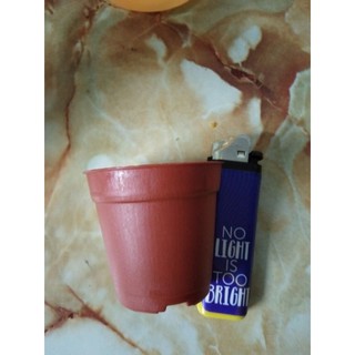 Homedeco/pasu kecil/pasu kaktus(100%)plastik(15 in 1 ) | Shopee Malaysia